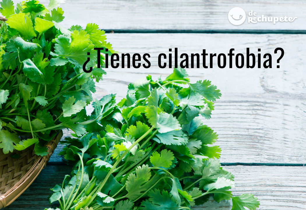 Cilantro. ¿No lo soportas? Tienes Cilantrofobia - De Rechupete
