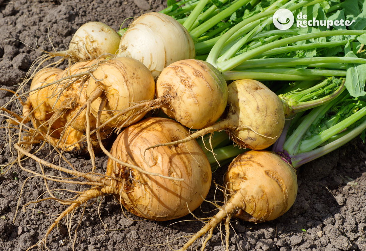 Verduras y hortalizas de invierno - De Rechupete