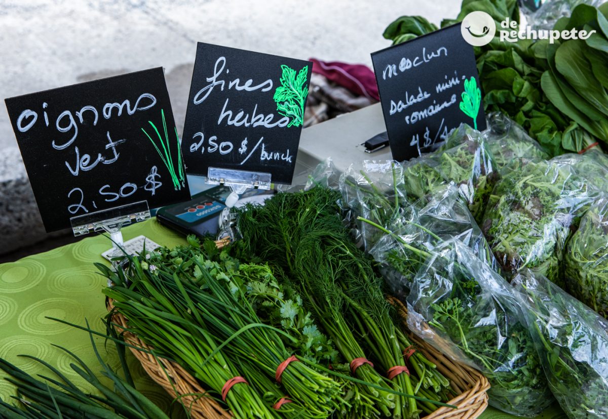 Recetas con hierbas provenzales, caseras y fáciles - De rechupete