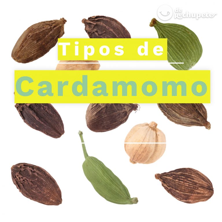 Cardamomo. Origen, para qué sirve, usos en cocina, beneficios y dónde ...