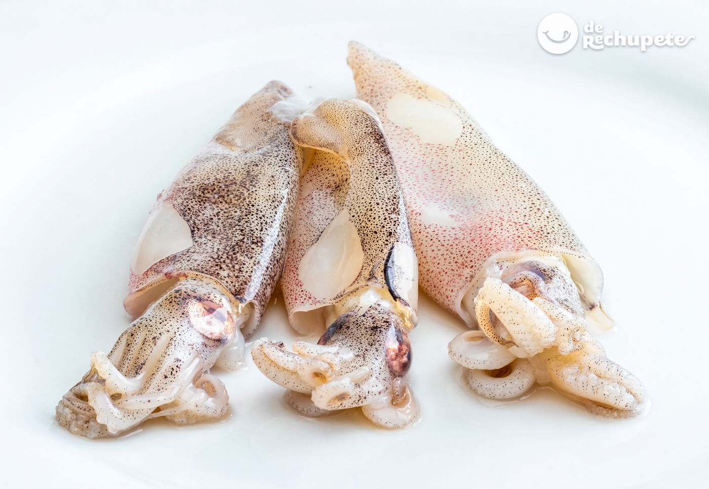 Chipirones. ¿Qué son y cómo los limpiamos? Recetas con chipirones - De ...