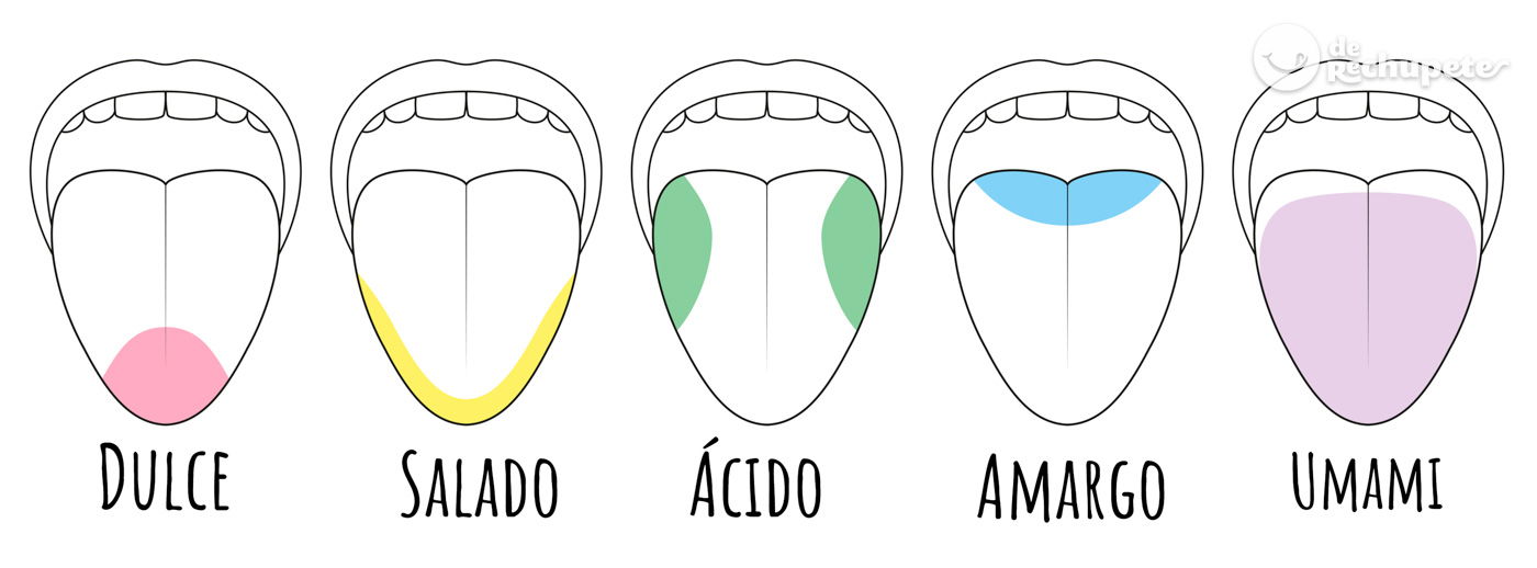 Sabor umami, el quinto sabor irresistible. ¿Qué es y cómo cocinar con ...