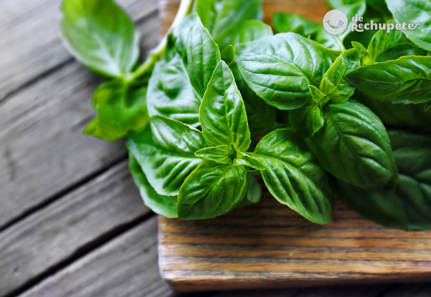 Albahaca. ¿Qué es y cómo utilizarla en la cocina? Recetas y consejos de ...