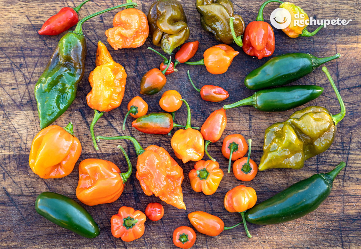 Escala Scoville. Método para medir el nivel de picante