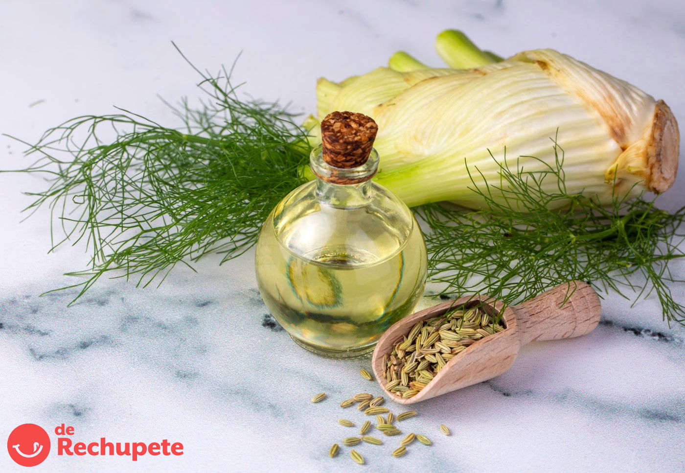 Hinojo ¿Qué es? Propiedades y usos en la cocina - De Rechupete