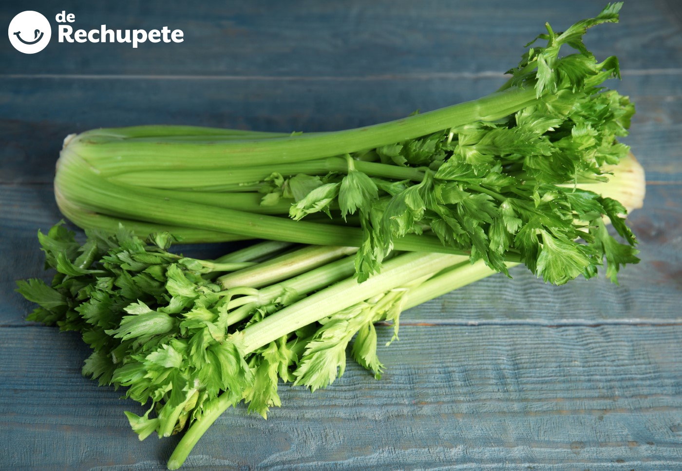Apio ¿Qué es? Propiedades y beneficios. Recetas para sorprender